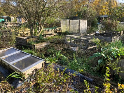 2024 – A Place To Grow Your Own